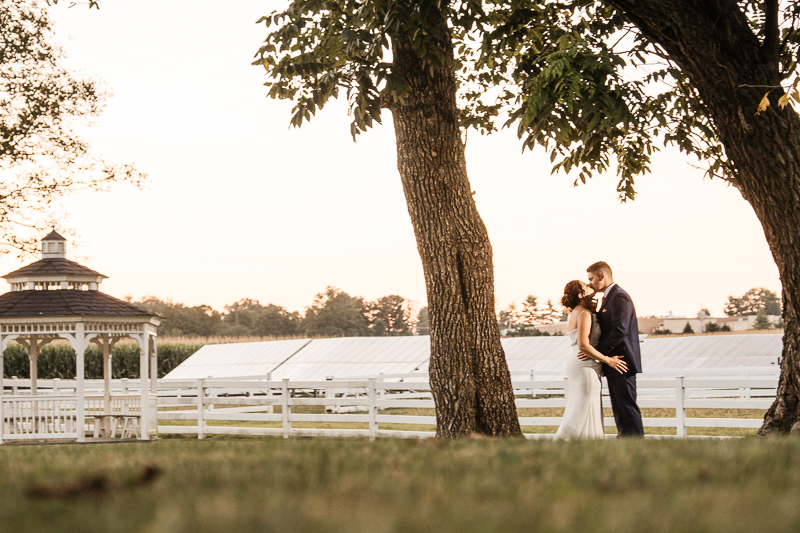 Marisa and Daniel's Wedding Photography at The Barn at Silverstone ...